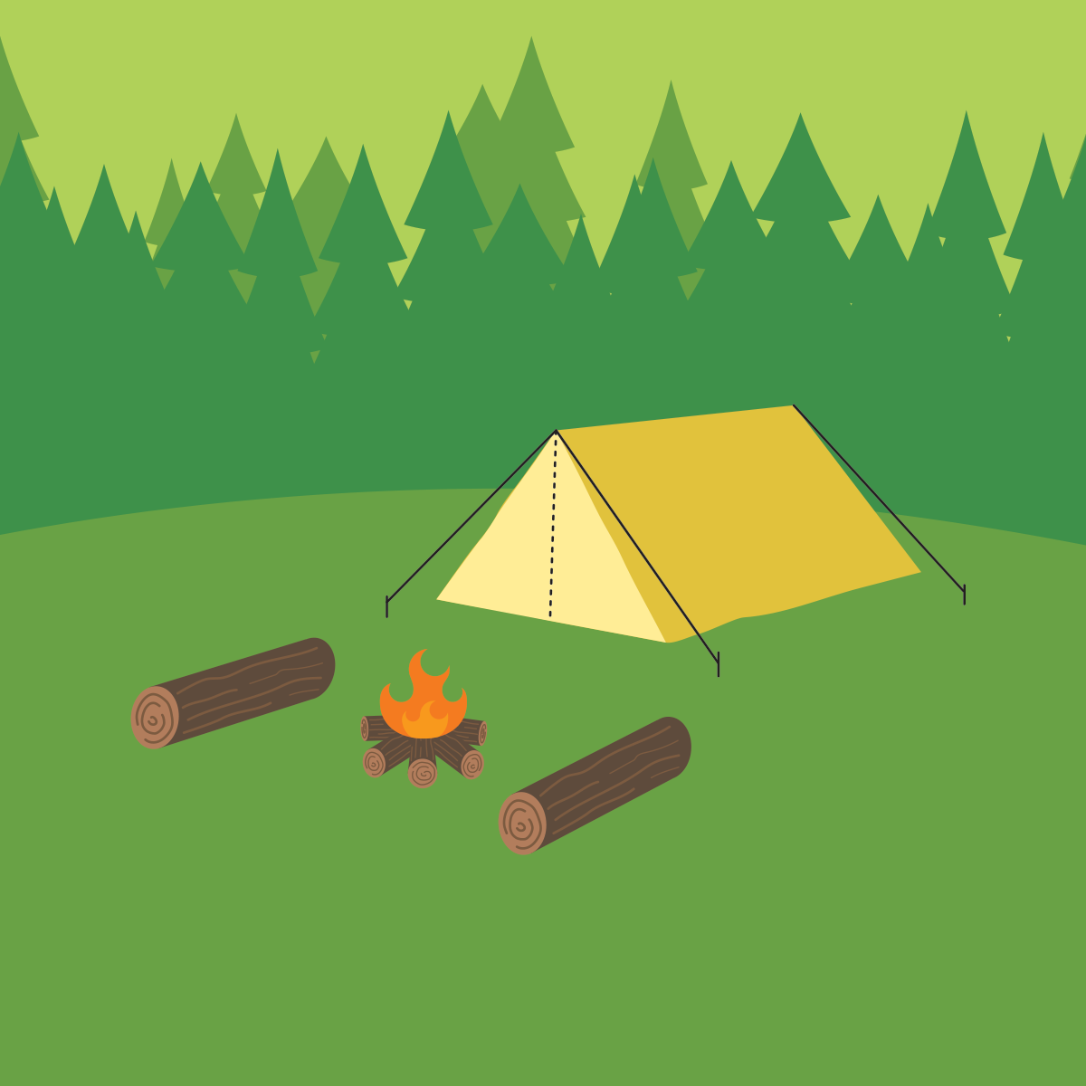 Camping ESL Library
