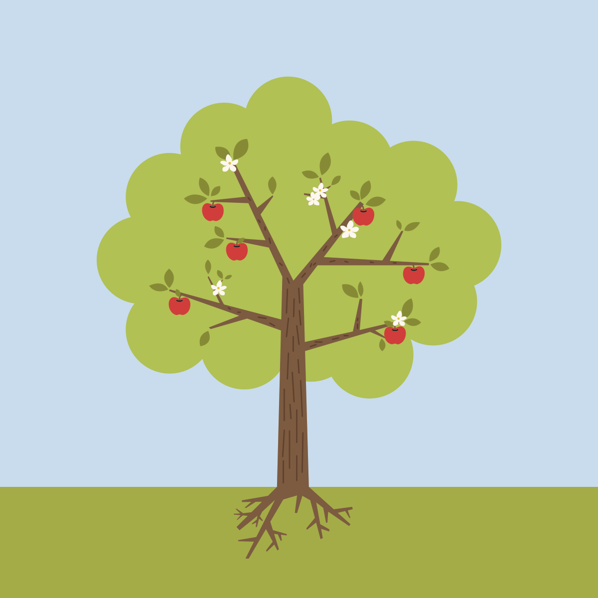 Parts Of A Tree ESL Library