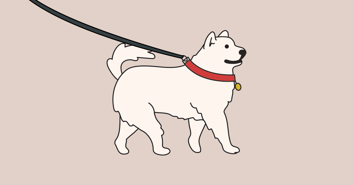 What Are You Going to Do Tonight? – Basic Grammar Sentences – Ellii ...