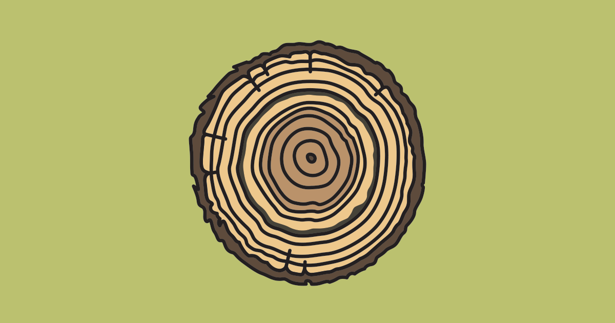 Tree Rings – Discovery – Ellii (formerly ESL Library)